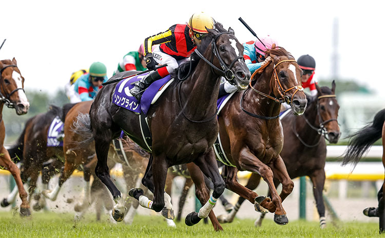 2022年 JRA中央競馬 G1レース 日程・結果一覧 | 競馬まとめ - netkeiba.com