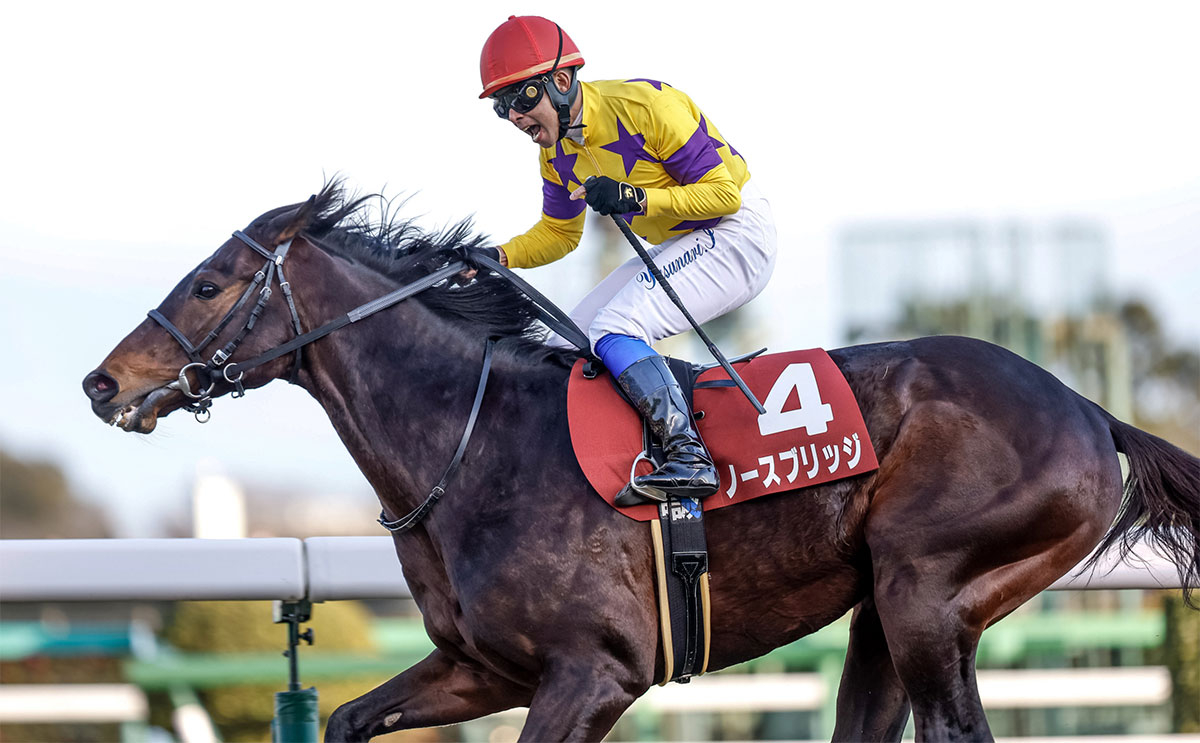 【AJCC 結果情報】内で脚を溜めたノースブリッジが鮮やかに抜け出し重賞2勝目!! | 競馬まとめ - netkeiba