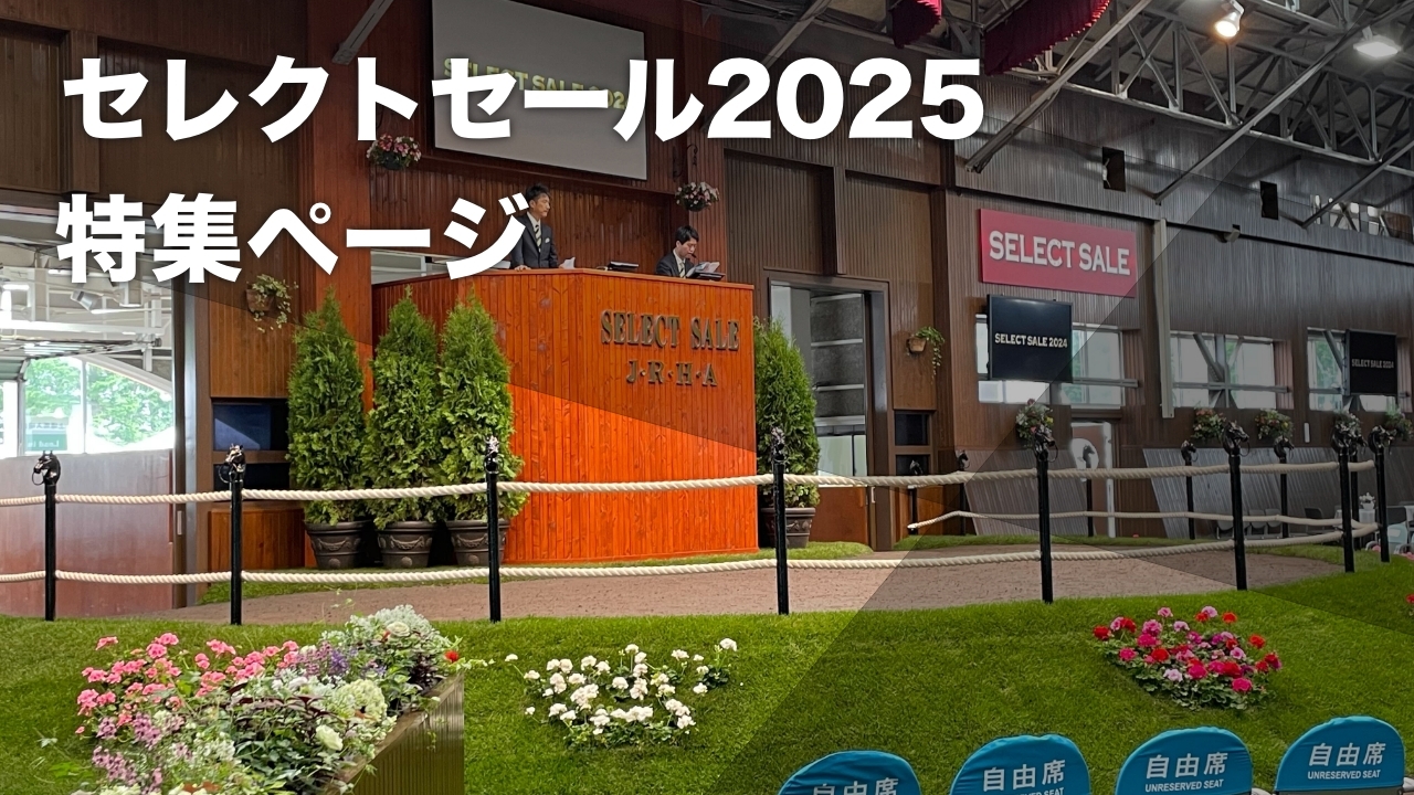 【セレクトセール2025特集】1日目・2日目の上場馬一覧・歴代高額馬の一覧など最新情報 | 競馬まとめ - netkeiba